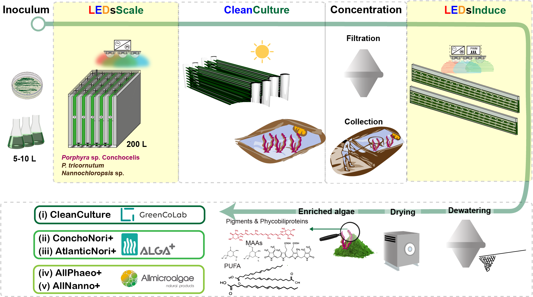 Solutions to produce novel algal products - AlgaeSolutions